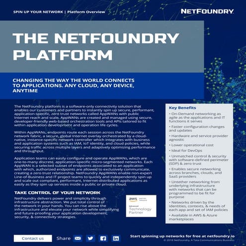 Net foundry two page platform overview with use cases | PDF