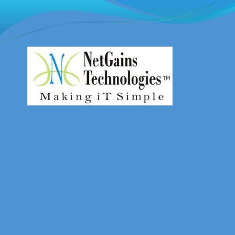 Net gains management cosnulatancy | PPT | Web Hosting | Internet