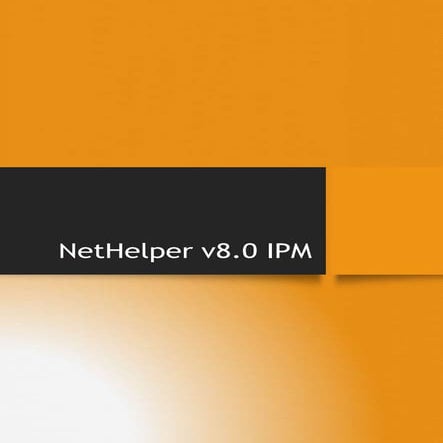 IPM (IP 보안관리) | PDF