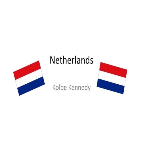 The Netherlands Project | PPTX