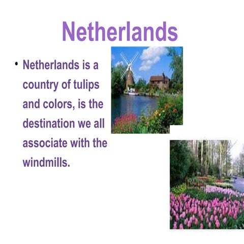 Netherlands | PPT