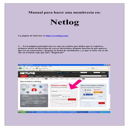 Netlog | PDF
