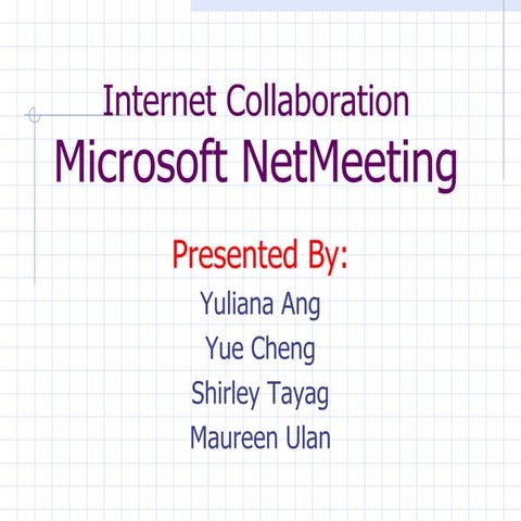 Netmeeting.ppt