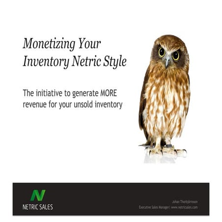 Netric for Publishers | PDF | Sales | Business