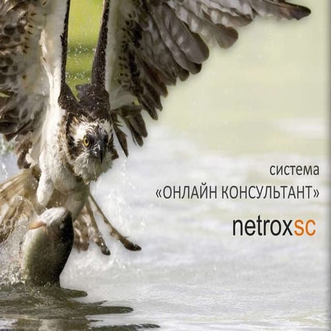 netrox(sc) | PPS | Technology & Computing