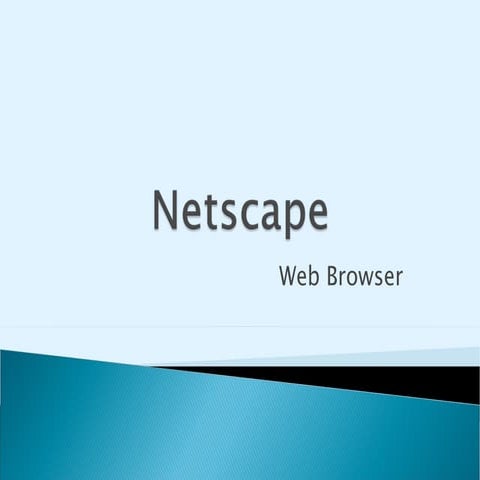 Netscape | PPT