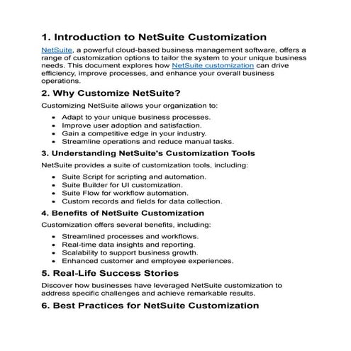 netsuite-customization | PDF