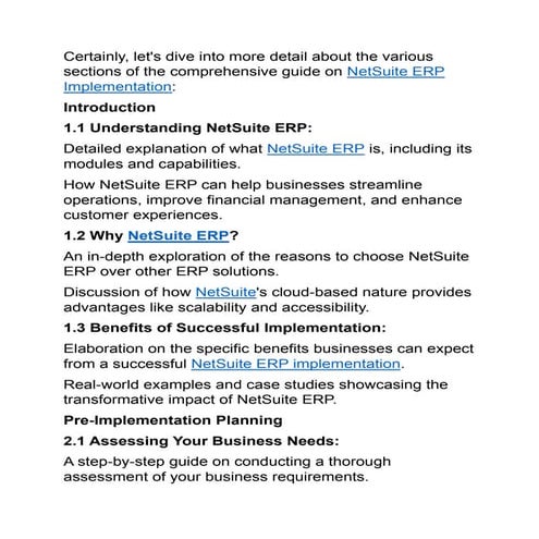 Netsuite Erp Implementation Pdf Computing Technology And Computing