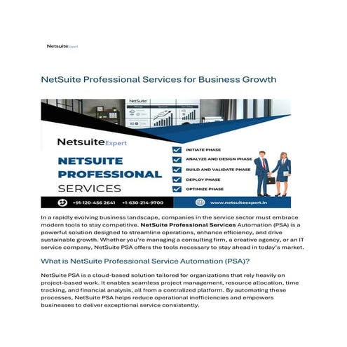 NetSuite Professional Services for Business Growth | PDF