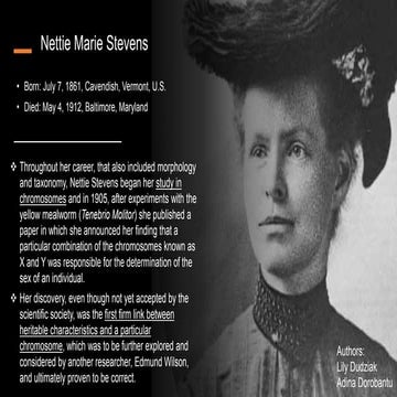 Nettie marie stevens | PPTX