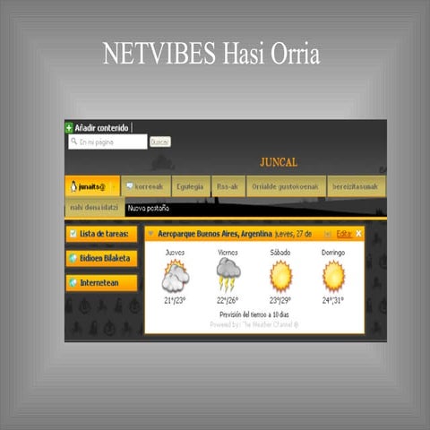 Netvibes Juncal Calvo | PPT