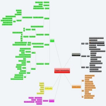 Network Mind Mapping | PPT