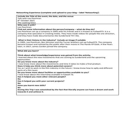 Networking Experience Template-2.docx | Entertainment