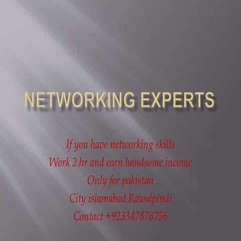Networking experts | PPTX