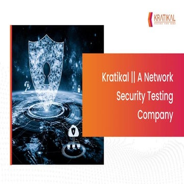Network Security Testing Company.pdf