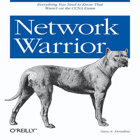 Network Warrior | PDF