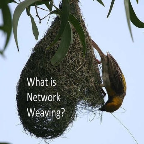 Network Weaver | PPT