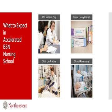 Northeastern University | What to Expect in the ABSN Program | PDF