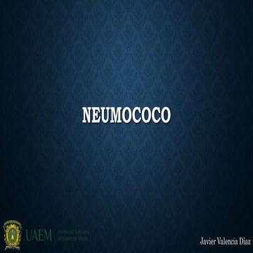 Neumococo, que es?, tratamiento, causas, caracteristicas, etc | PPTX