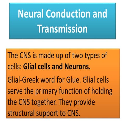 Neural Conduction and Transmission | PPTX