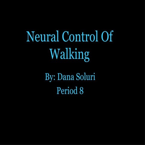 Neural Control. | PPT