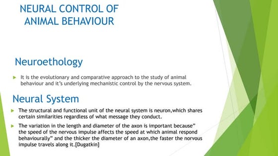 animal behaviours and its types with examples | PPT