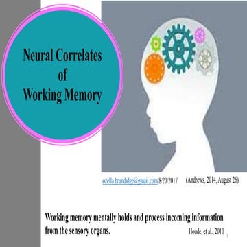 Neural correlates of working memory | PPTX