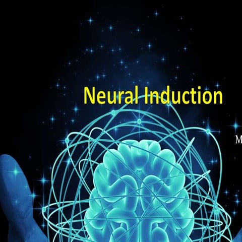 Neural Induction in human brain: principles and processes | PPTX