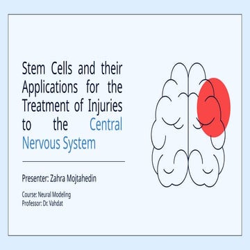 Stem Cells and their applications for the treatment of injuries to the ...