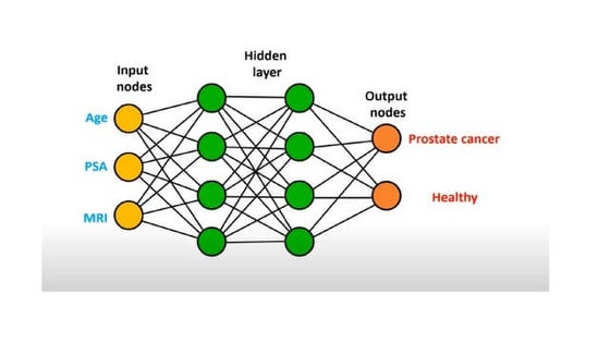 [7] The SiLU Activation Function Unlocking Neural Network Potential.pptx