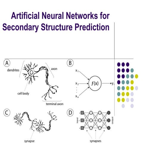 Neural Networks For Secondary Structure.pptx