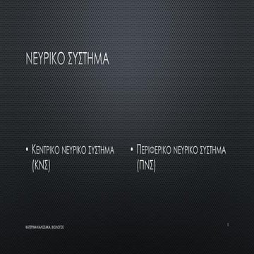 ΝΕΥΡΙΚΟ ΣΥΣΤΗΜΑ | PDF