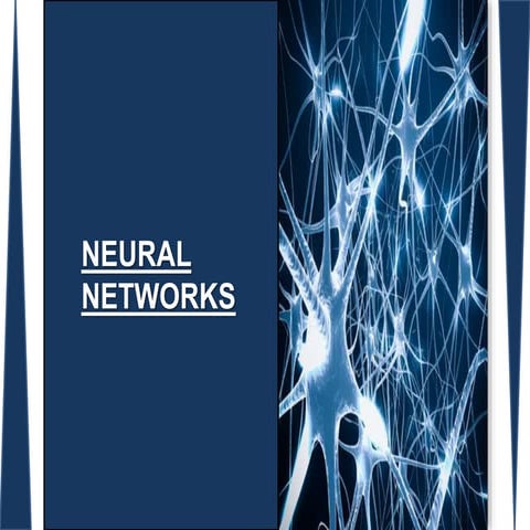 Neural system/ Neural Networks | PPTX