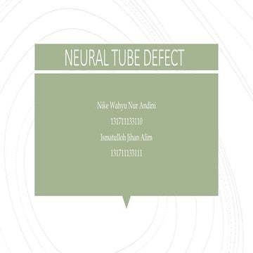 Neural tube defect | PPTX
