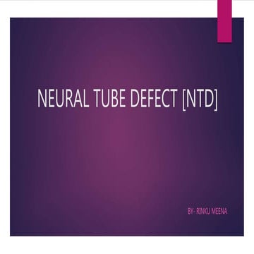 Neural tube defect [ntd] | PPTX