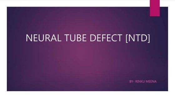 Neural Tube Defects | DIBS | Nextillo India | PDF