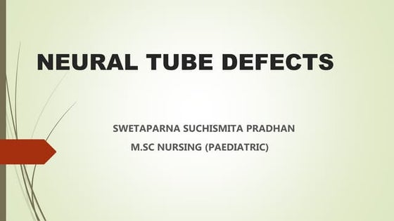 Neural tube defect presentation | PPT