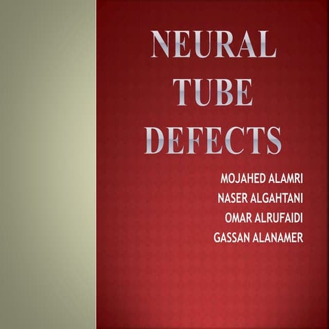 Neural Tube Defects.pptx