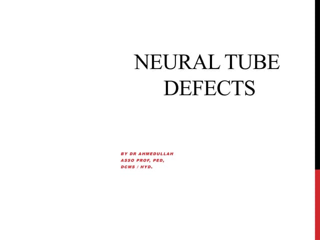 Neural tube defect | PPTX | Pregnancy | Reproductive Health