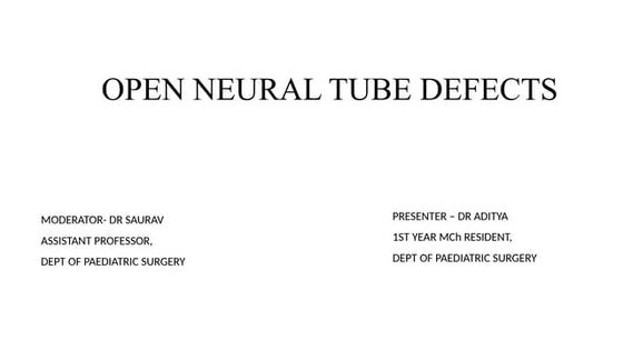 NEURAL TUBE DEFECTs.pptx