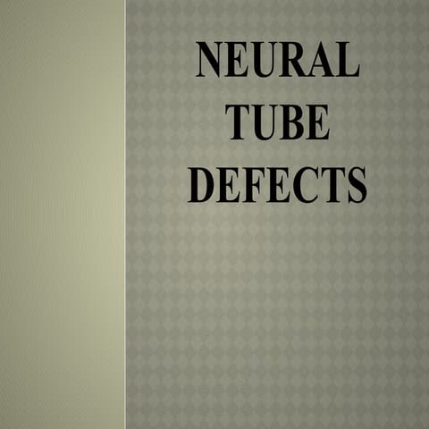The Neural Tube Defects most recently 4.pptx