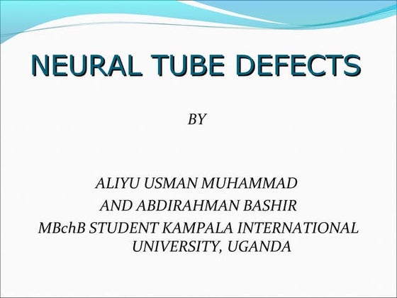 Neural tube defect presentation | PPT