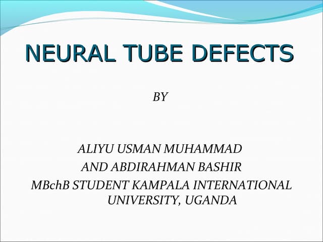 Neural tube defect presentation | PPTX