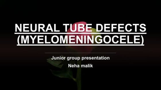 Spinabifida1 100428132439-phpapp02 | PPT