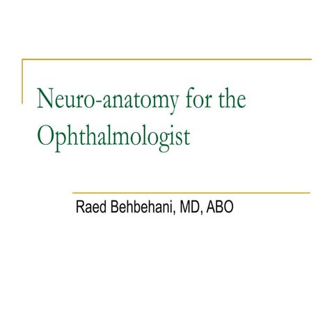 Neuro-anatomy For the Ophthalmologist | PPT