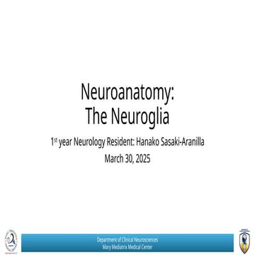 Neuroanatomy Lecture about Neuroglia.pptx