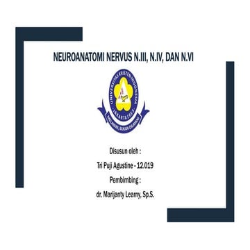 neuroanatmi 3,4,6 NJBH VGVGV FTFRF TF.pptx