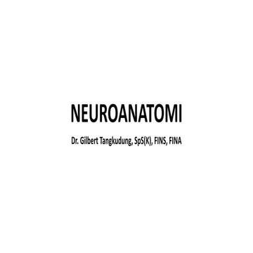 NEUROANATOMI ppt penting untuk saraf.pptx.pdf