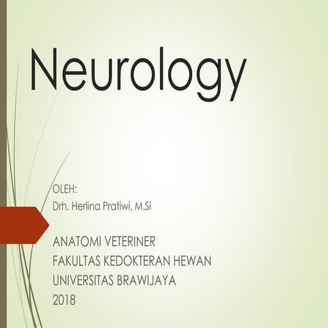 Neuroanatomi ub.pdf