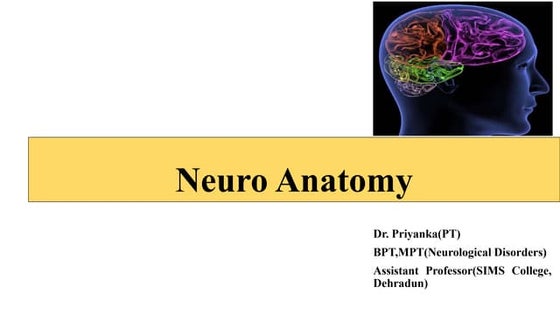 Introduction To Neuroscience | PPT | Brain and Nervous System Disorders ...